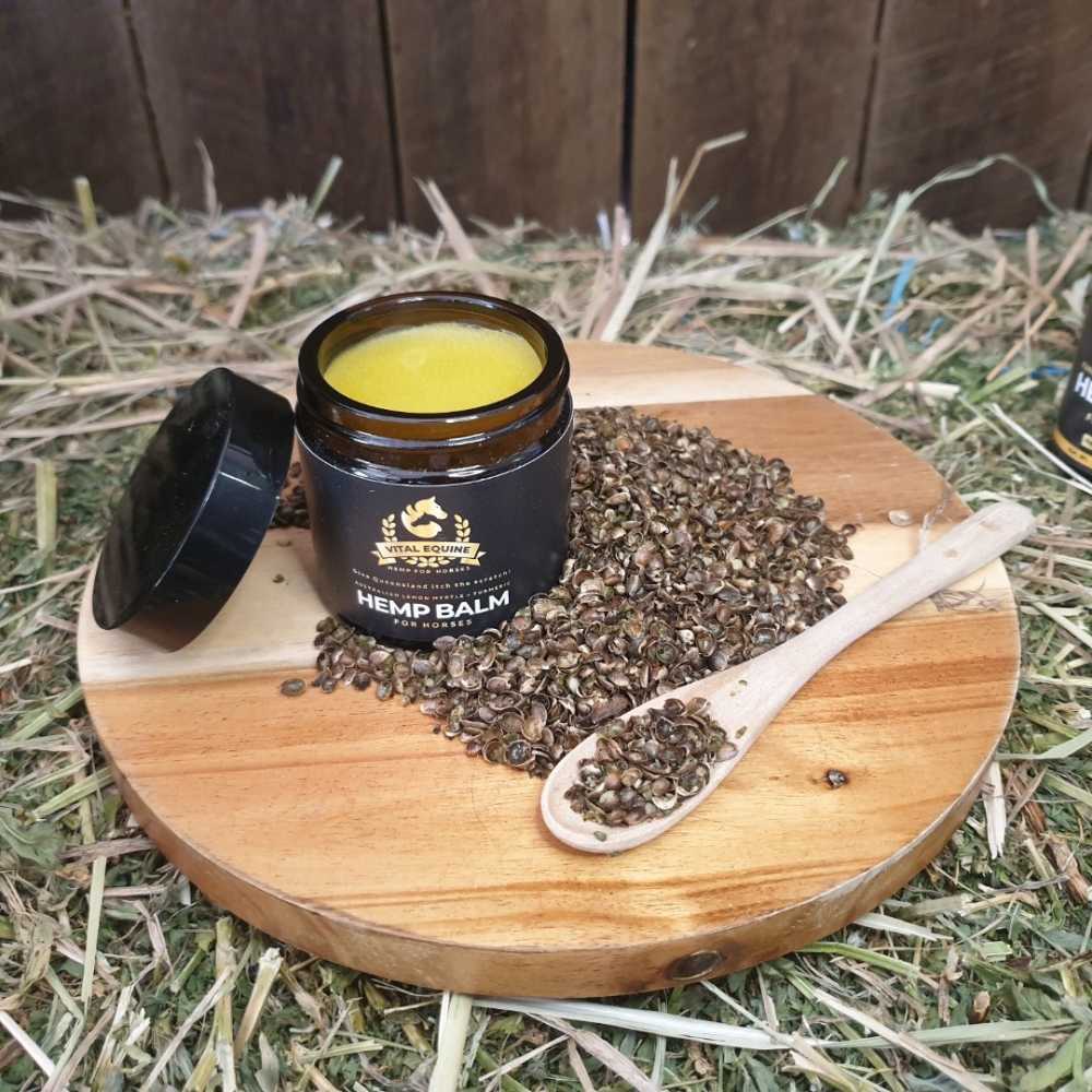 Vital Equine | Hemp Starter Pack | Turmeric + Hemp Oil & Lemon Myrtle ...